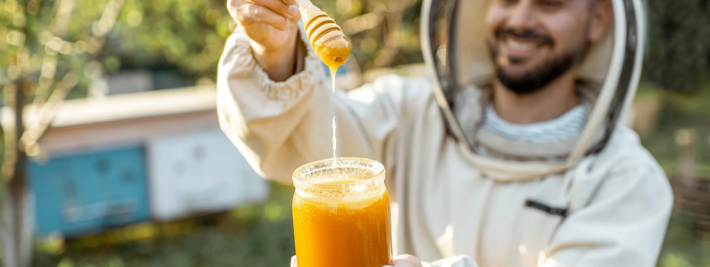 Bees, Beekeeping Supplies & Services – Bee & Comb